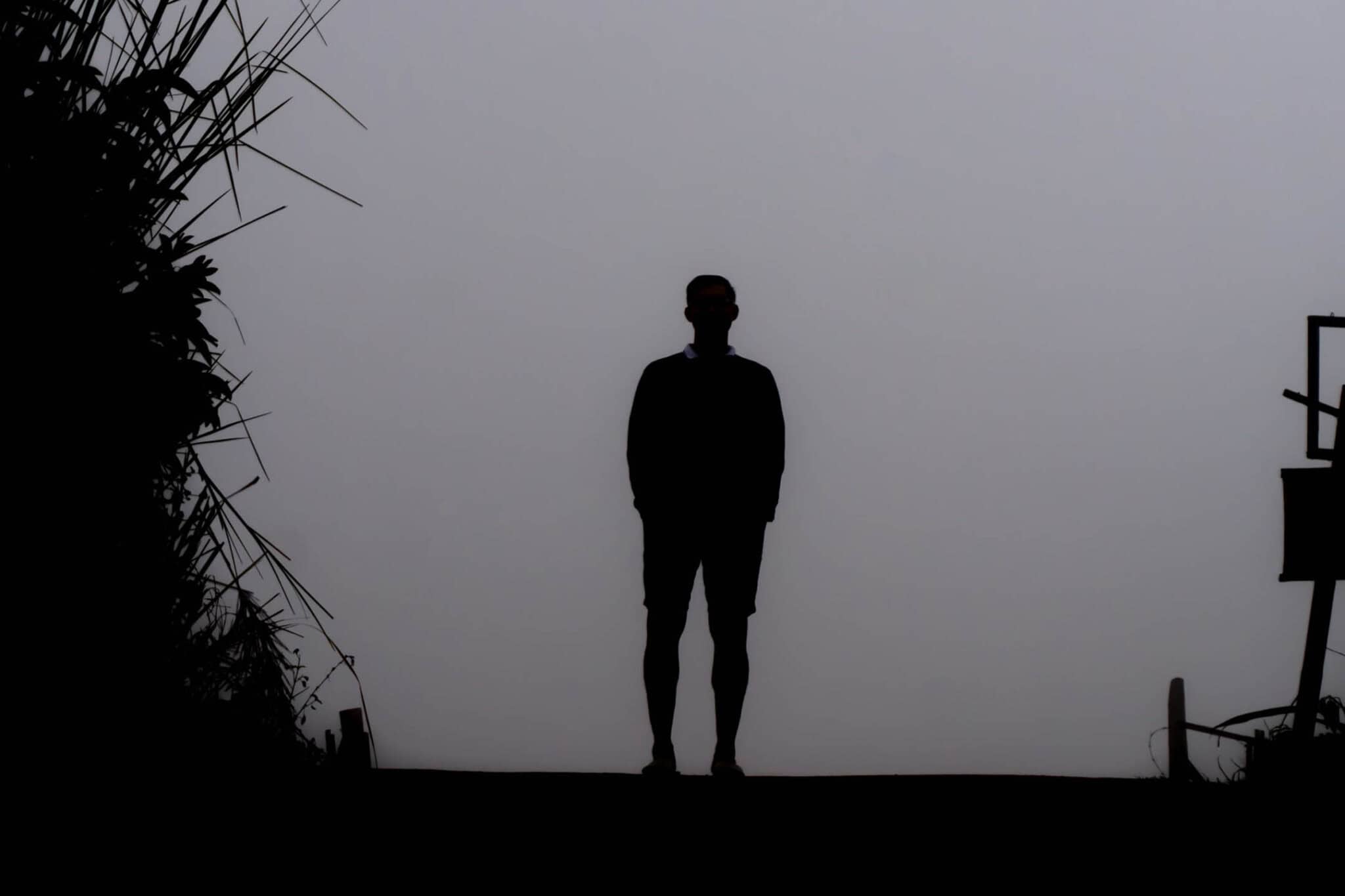 Stories from Survivors of Domestic Abuse • NCDV