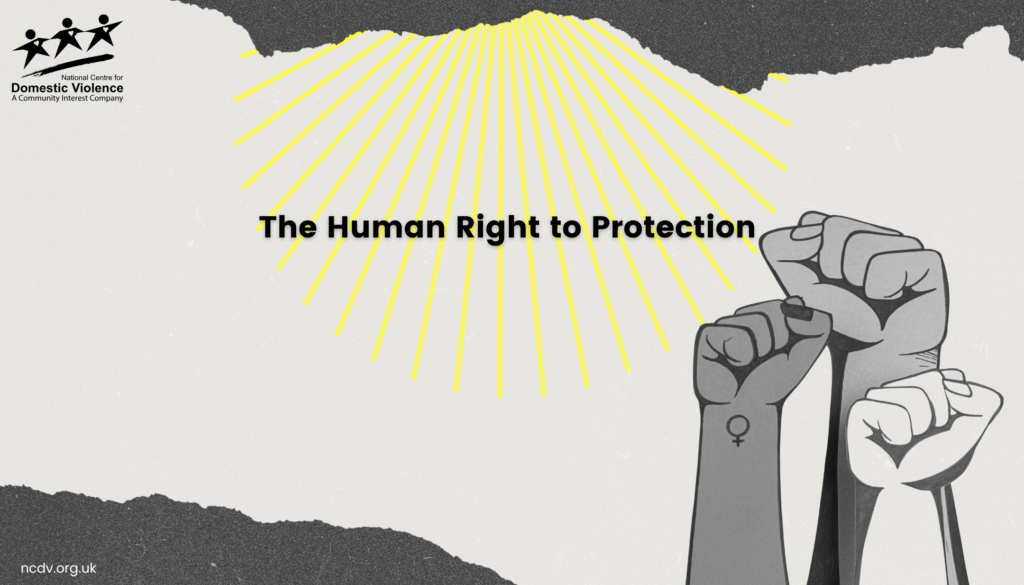 The Human Right to Protection - NCDV